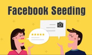 99+ Mẫu kịch bản Seeding Comment chân thật, X2 tương tác