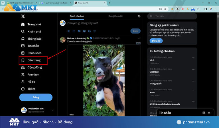 4 Cách tìm Tweet cũ trên Twitter nhanh chóng, đơn giản